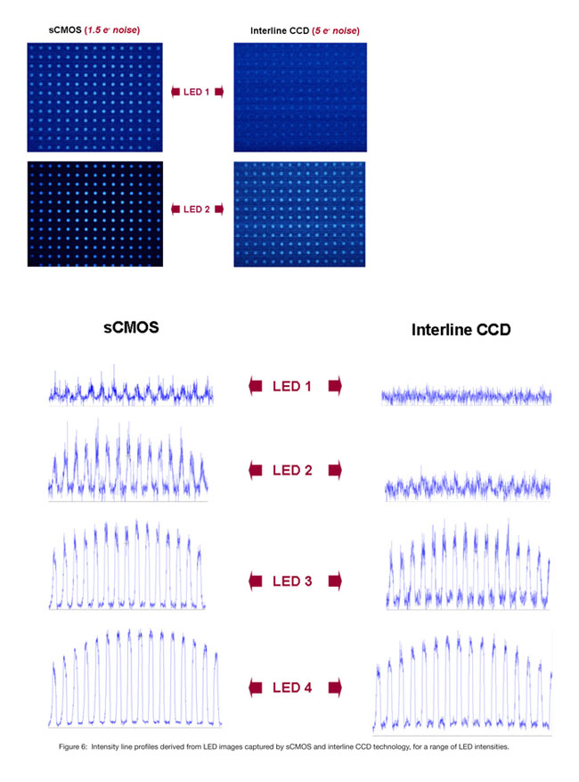 sCMOS Cameras For Low Light Microscope Applications