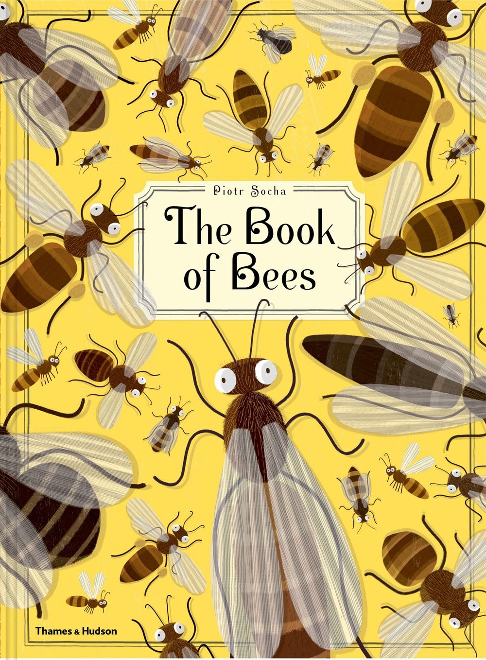 Momo Celebrating Time To Read The Book Of Bees By Piotr Socha Text By momo-celebrating-time-to-read-the-book-of-bees-by-piotr-socha-text-by