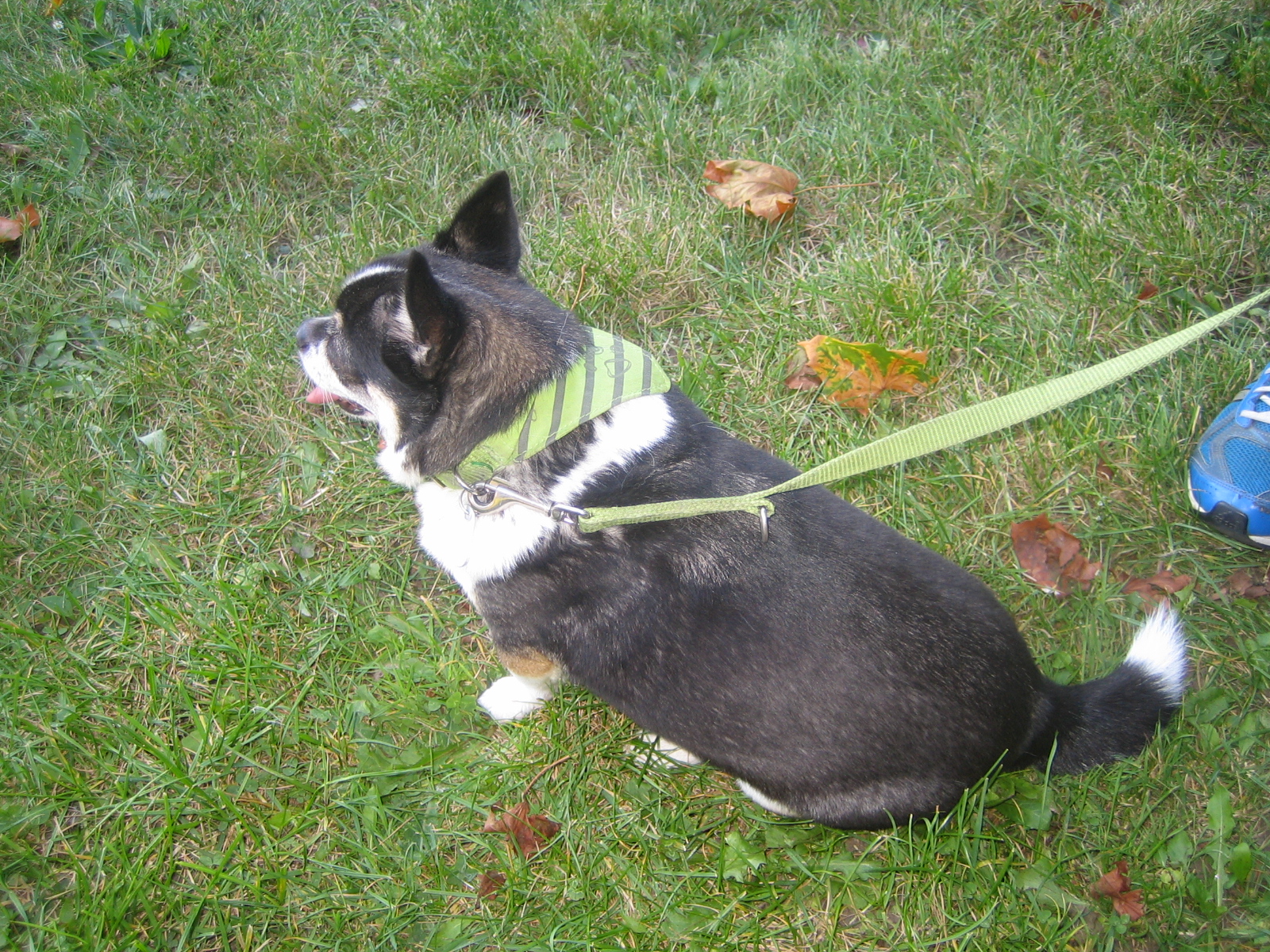 Paul Zubeil Hendrik Streeck Hochzeit - AIDS-Gala in der Oper mit Sylvie ...