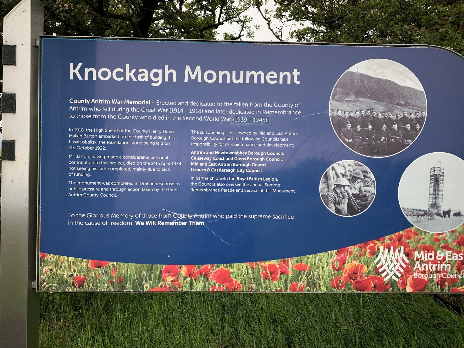 Animal, Nature, and Travel: Knockagh Monument in Belfast, Northern Ireland