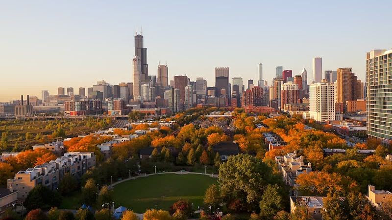 Seam Ripper, Pin Cushion, and Fall in Chicago