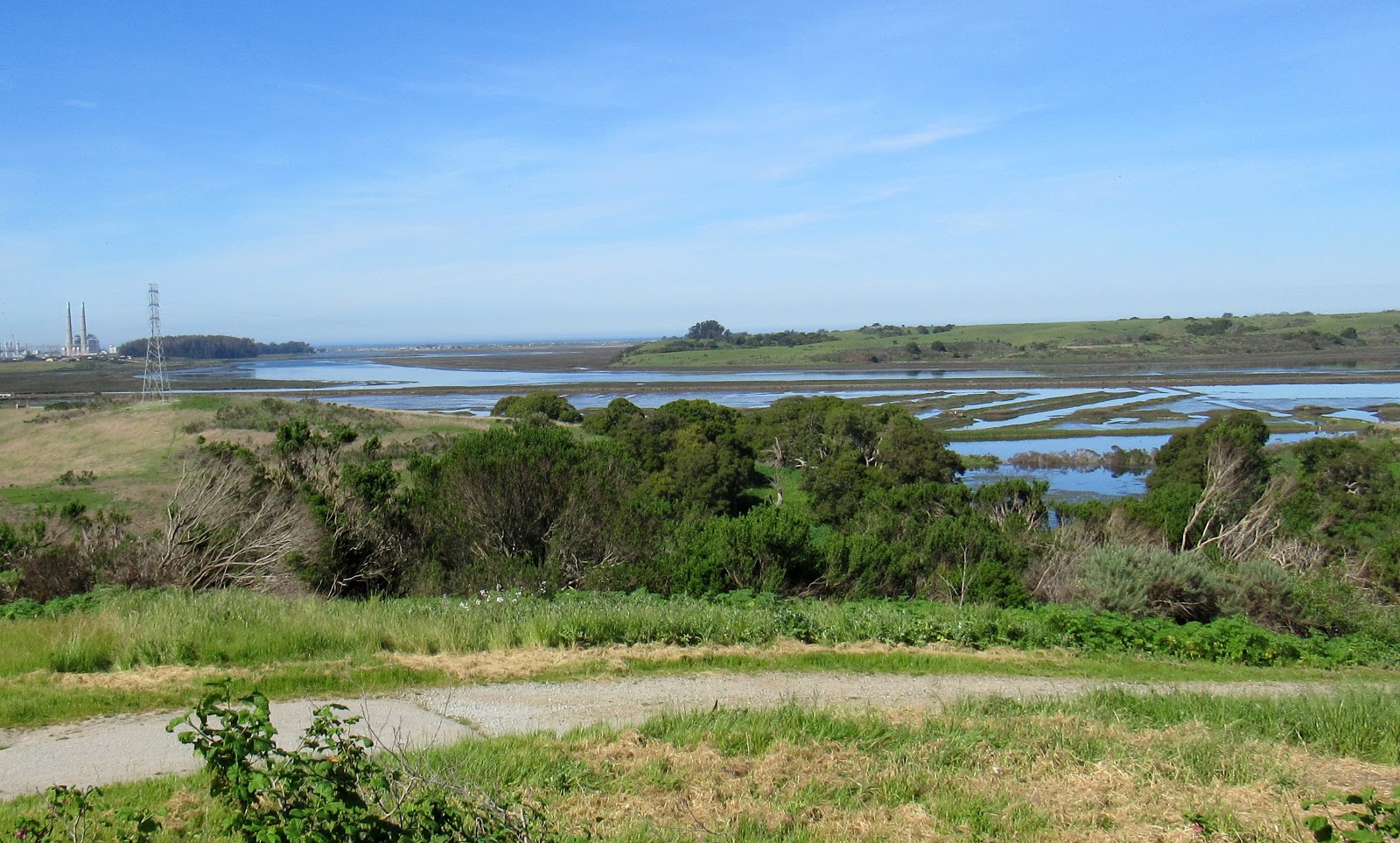 Elkhorn Slough: An Ecological Treasure in Central California
