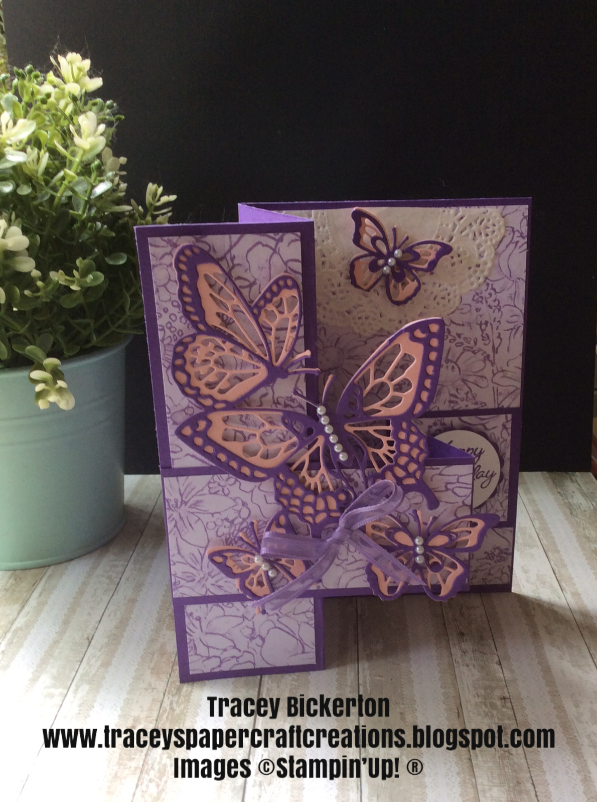 Tracey's Papercraft Creations: BEAUTIFUL BUTTERFLY BIRTHDAY CARD