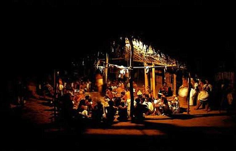 Frits Staal, an Amazing Indophile