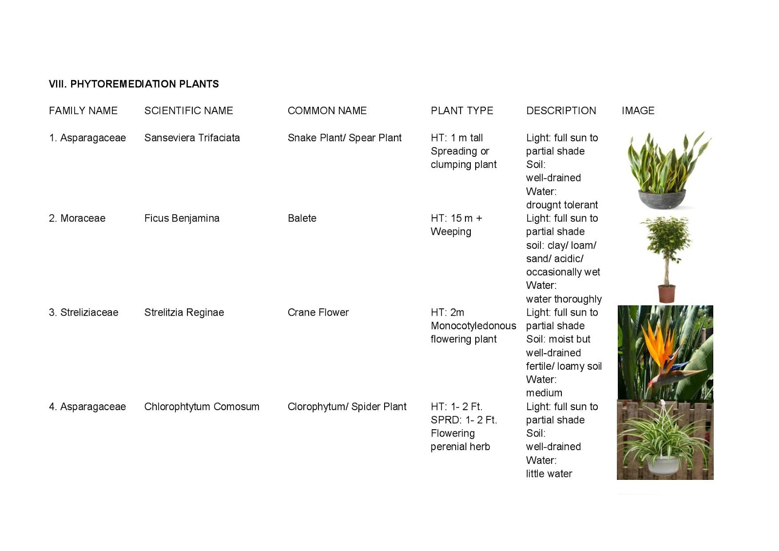 Softscape Materials: Plant List 1
