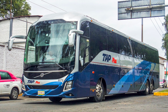 Transportes y Autobuses del Pacífico: TAP Plus - Bus-México