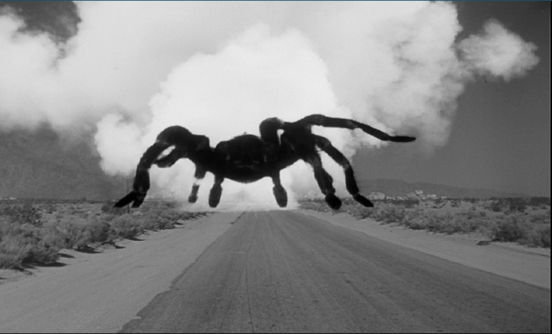 Horror Moth: Natural Horror Moth: Quando la natura genera mostri