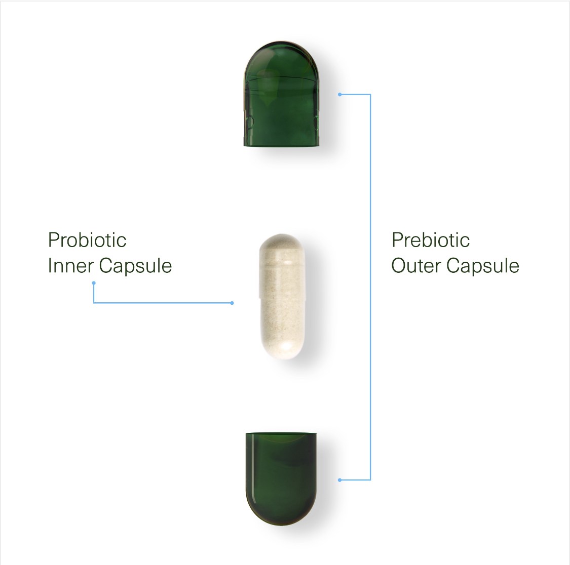 Use my code MOMKNOWSBEST to save 15% off the best Daily Synbiotic