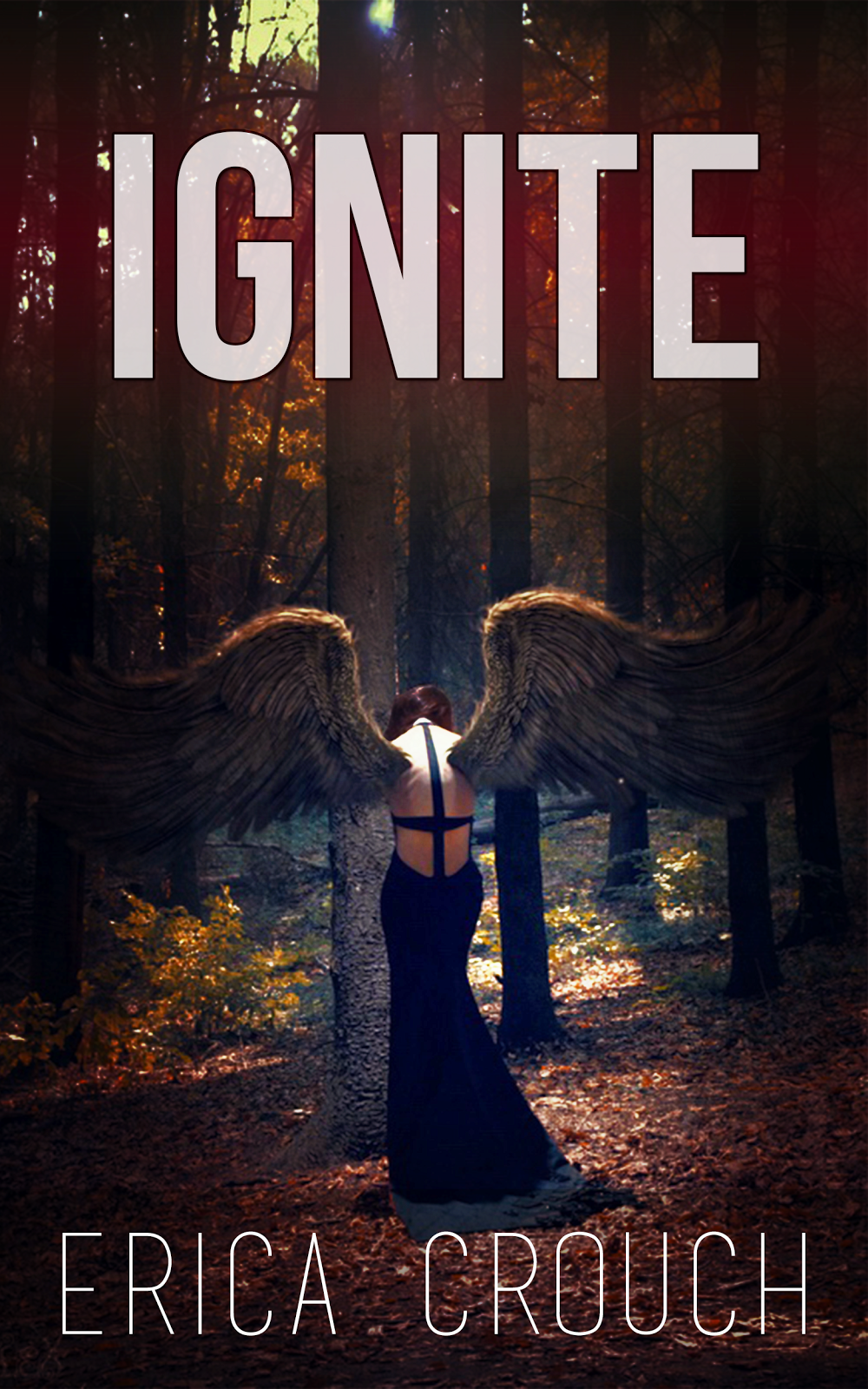 The Cover Contessa: Cover Reveal and Giveaway: Ignite by Erica Crouch