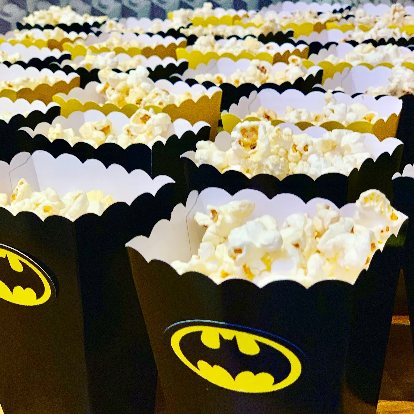 NEW! LEGO DC: Batman Family Matters- review plus DVD GIVEAWAY