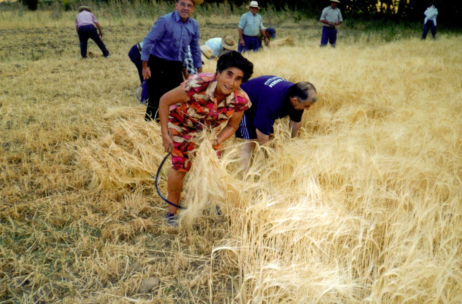 LA SIEGA | MUSEO VIRTUAL