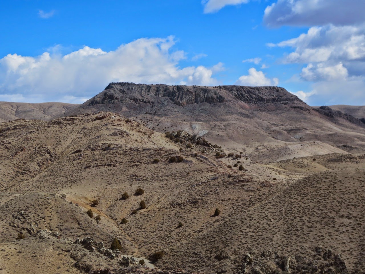 EcoRover: Springtime on Montana's High Desert: Wildflowers, Geology ...