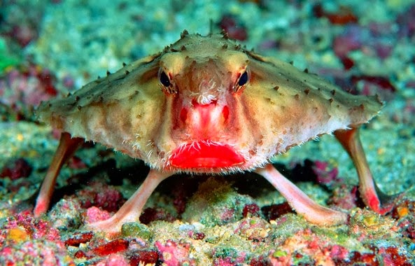 Website Information for www.articlemostwanted.com