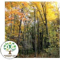 Central Pennsylvania Forestry: Penn State School of Forest Resources ...