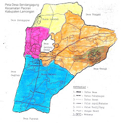 DESA SENDANGAGUNG PACIRAN LAMONGAN JAWA TIMUR: PETA DESA