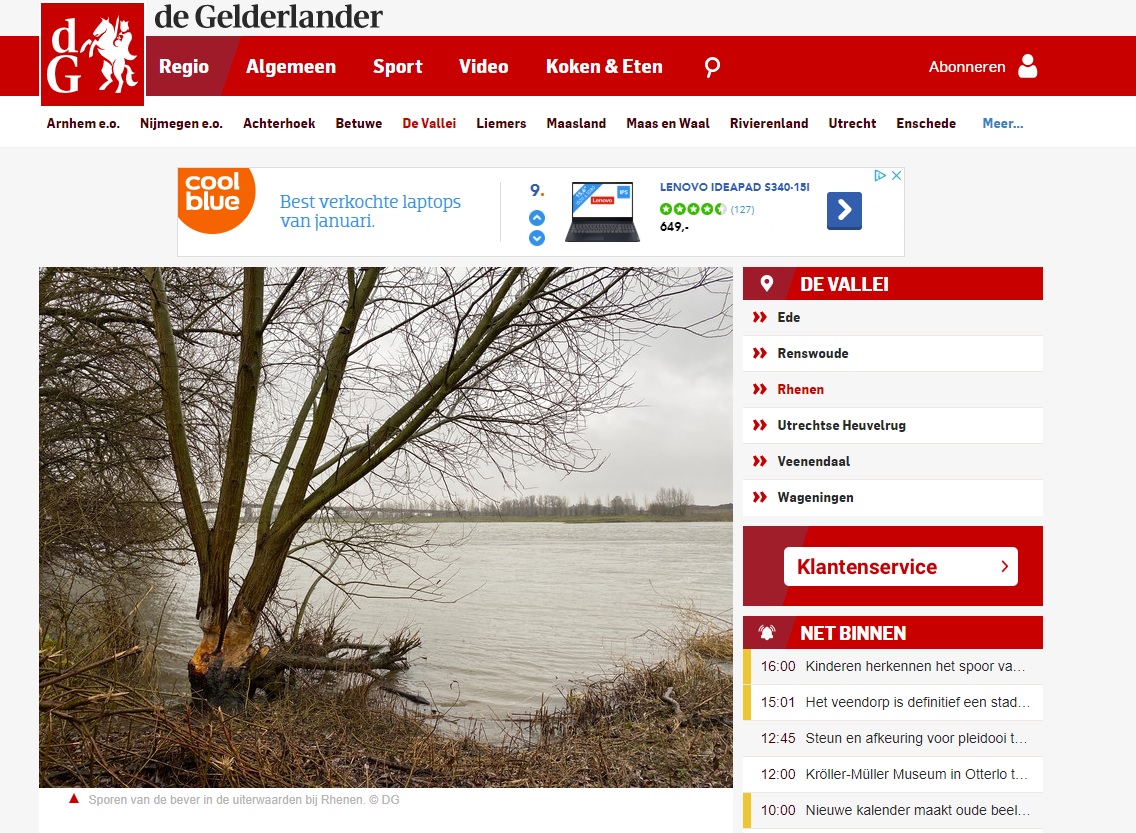 Castor Fiber: Beverbericht in De Gelderlander