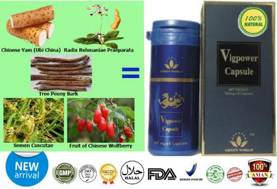 Manfaat Vig Power Capsule - Agen Resmi Vig Power Capsule Malang