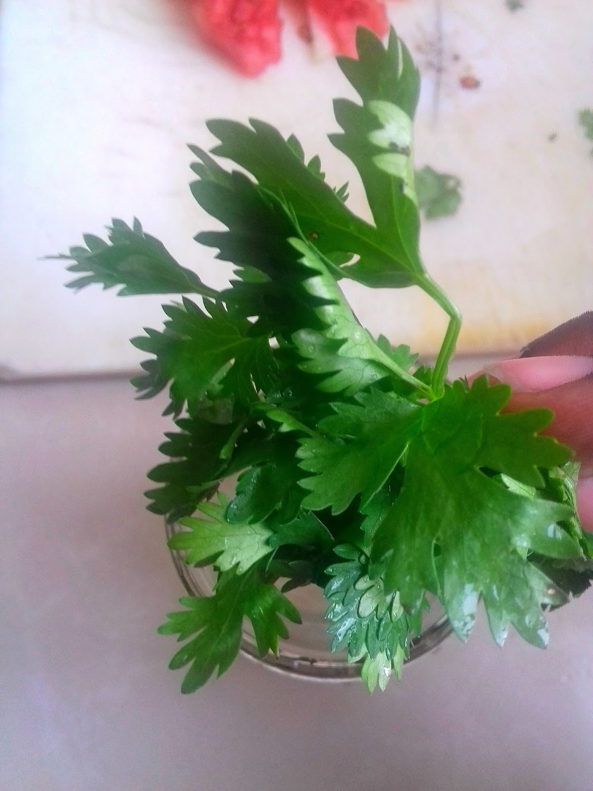 7 DAY INFUSED WATER CHALLENGE DAY 2 - WATERMELON CILANTRO WATER