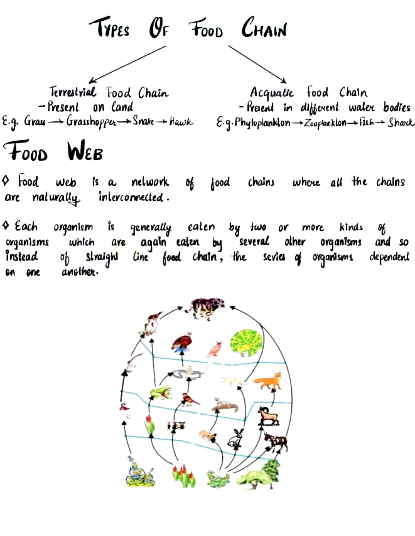 Our environment notes class 10 - Studypur
