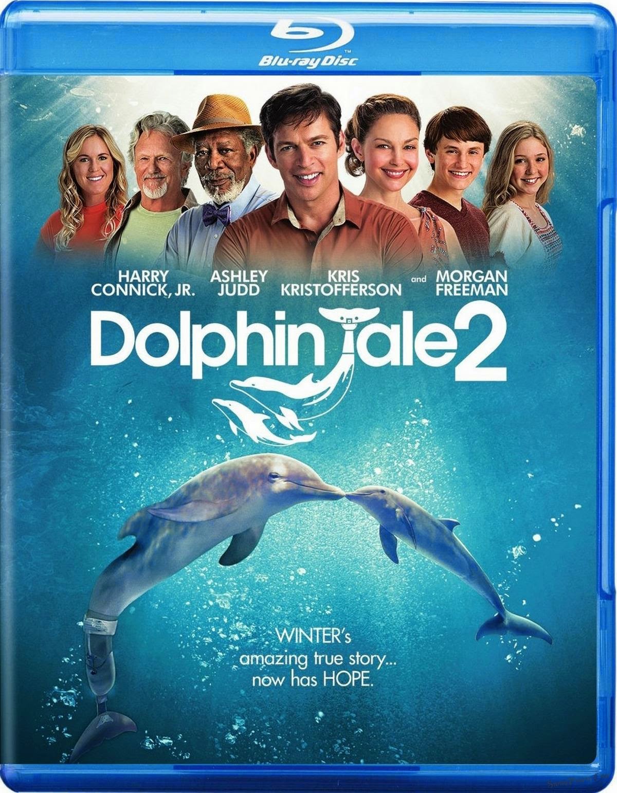 الفيلم Dolphin Tale 2 مترجم عربي