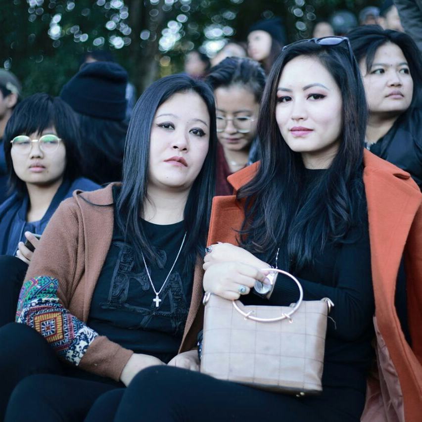 Mizo Zaithiam Hmeltha Bawk Si - Feli Fanai | TIMES OF MIZORAM