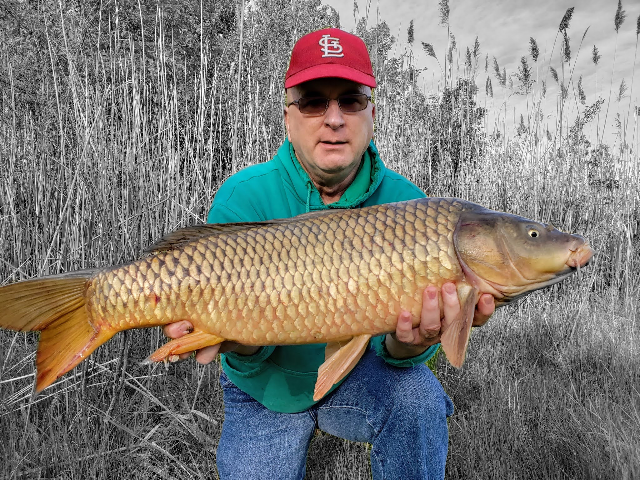 Michigan Carp Fishing Blog