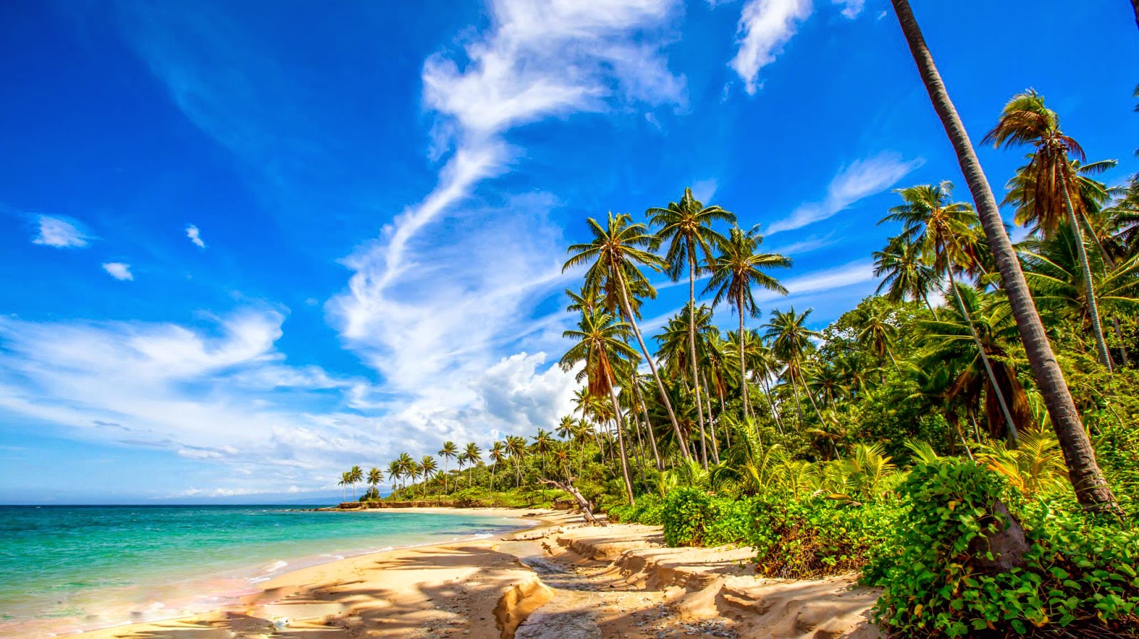 East Timor at emaze Presentation