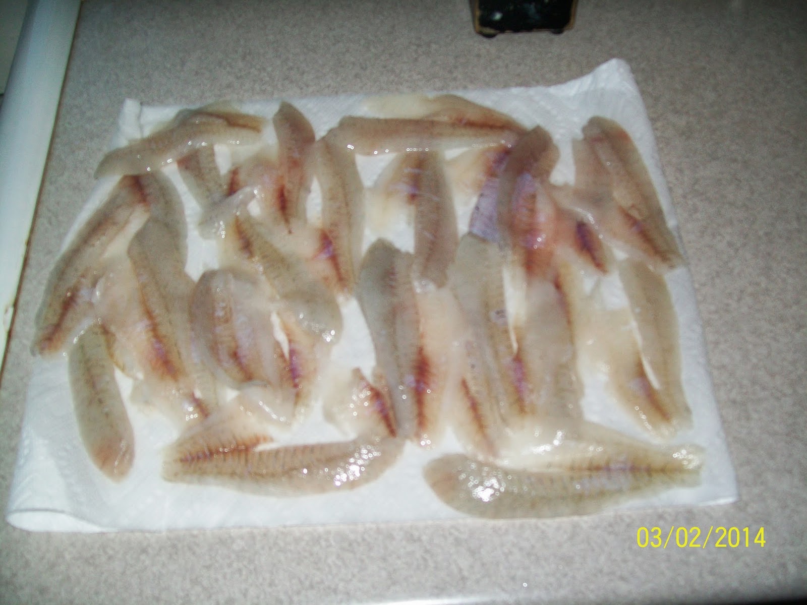 Homestead Survival Journal: Bluegill Crispy Batter Fish Fry