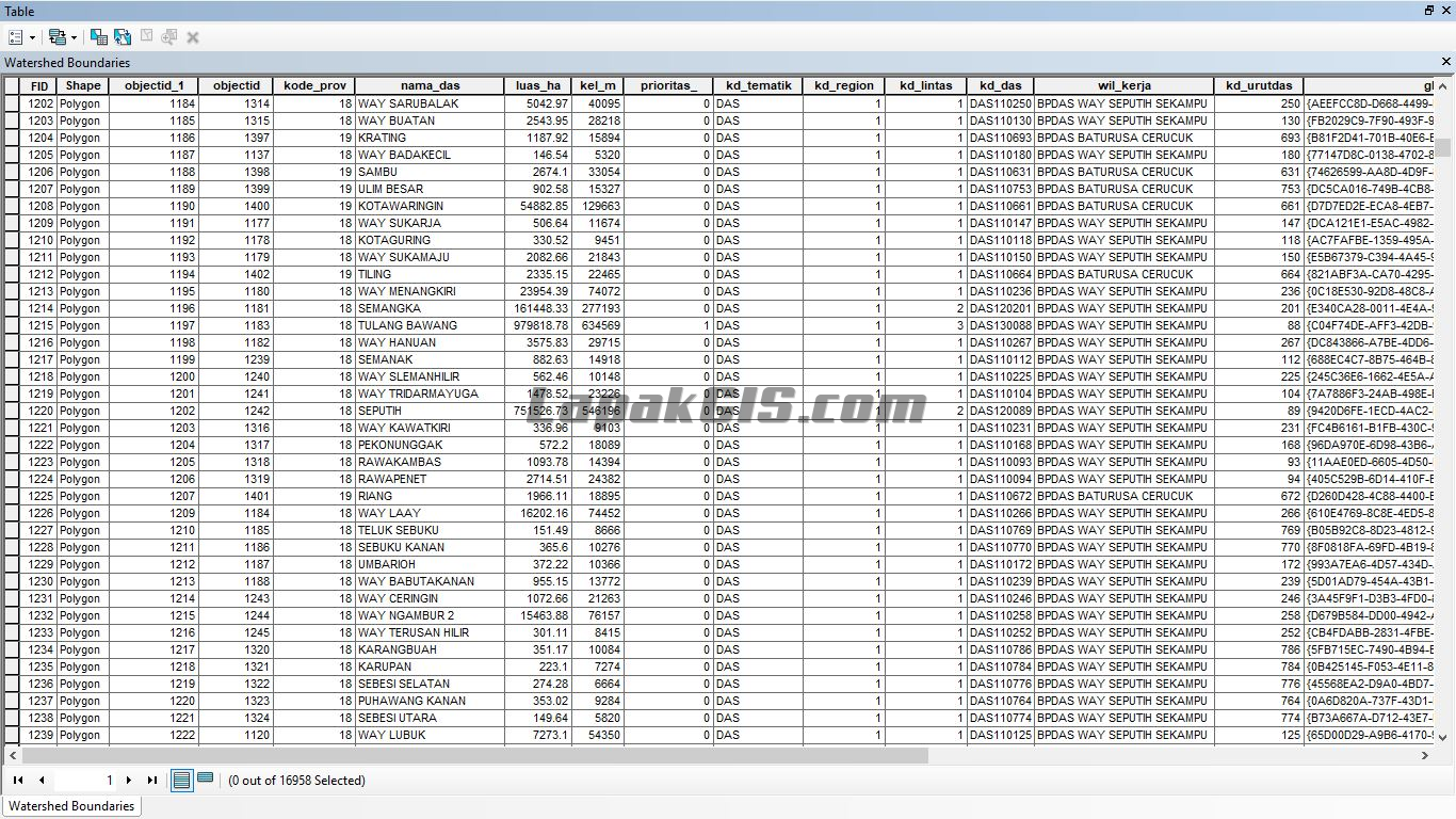 Data SHP (Shapefile) Peta DAS Indonesia Terbaru - Lapak GIS