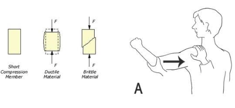 Learn Structural Tips ( LST-Sohel )