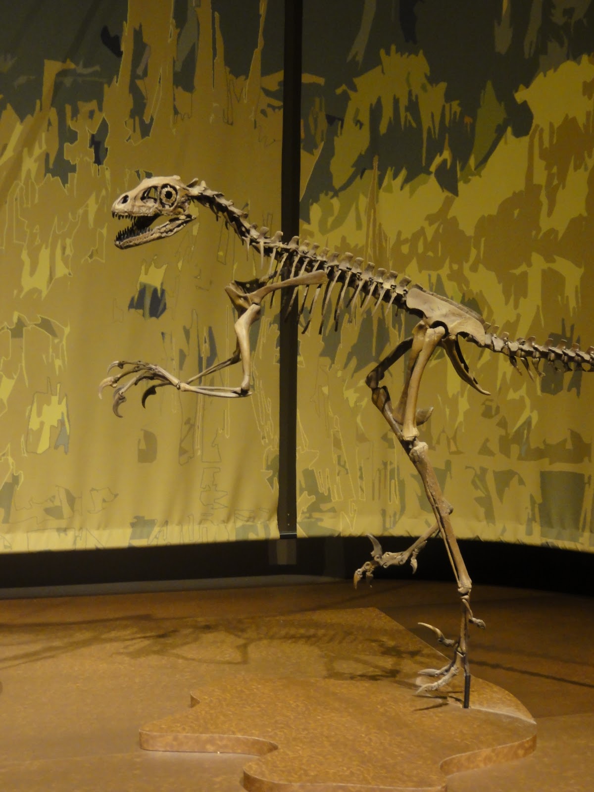 Daniel's Safari: Tellus: NW Georgia Science Museum - Cartersville, GA