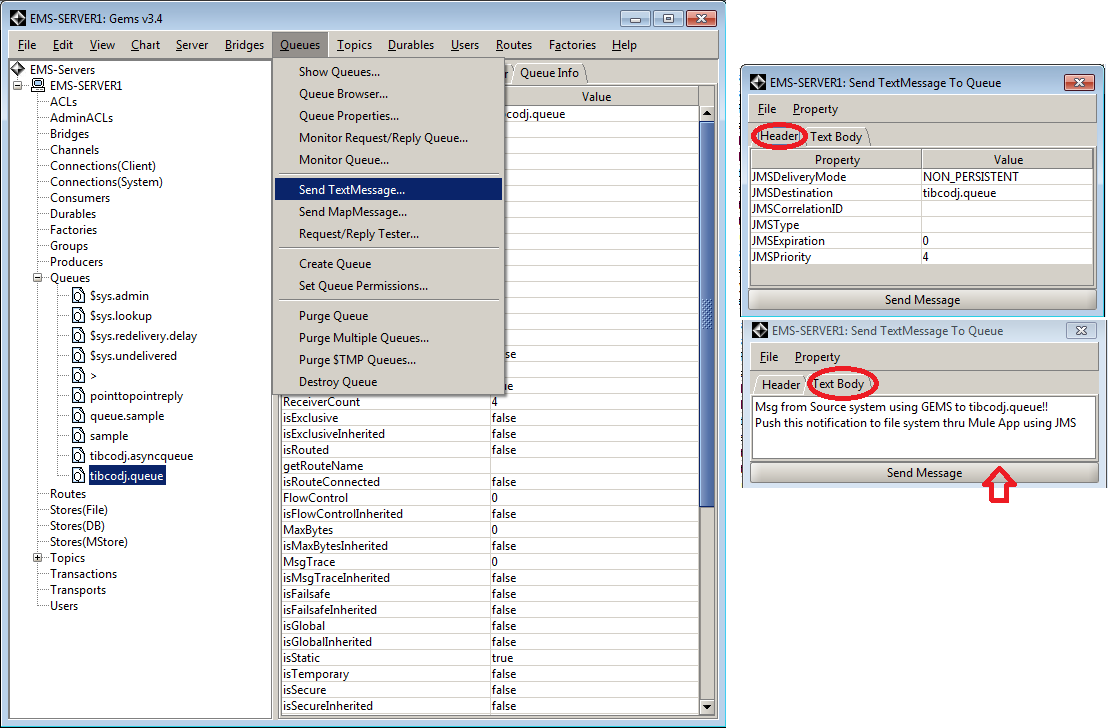Mule Esb Tutorials Connecting To Tibco Ems In Mule Using Jms Connector