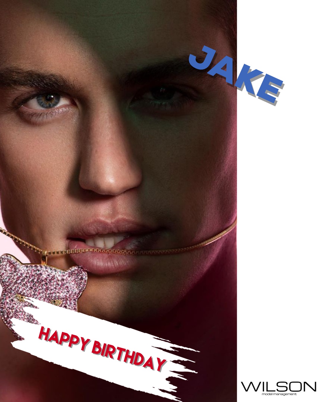 Wilson Model Management