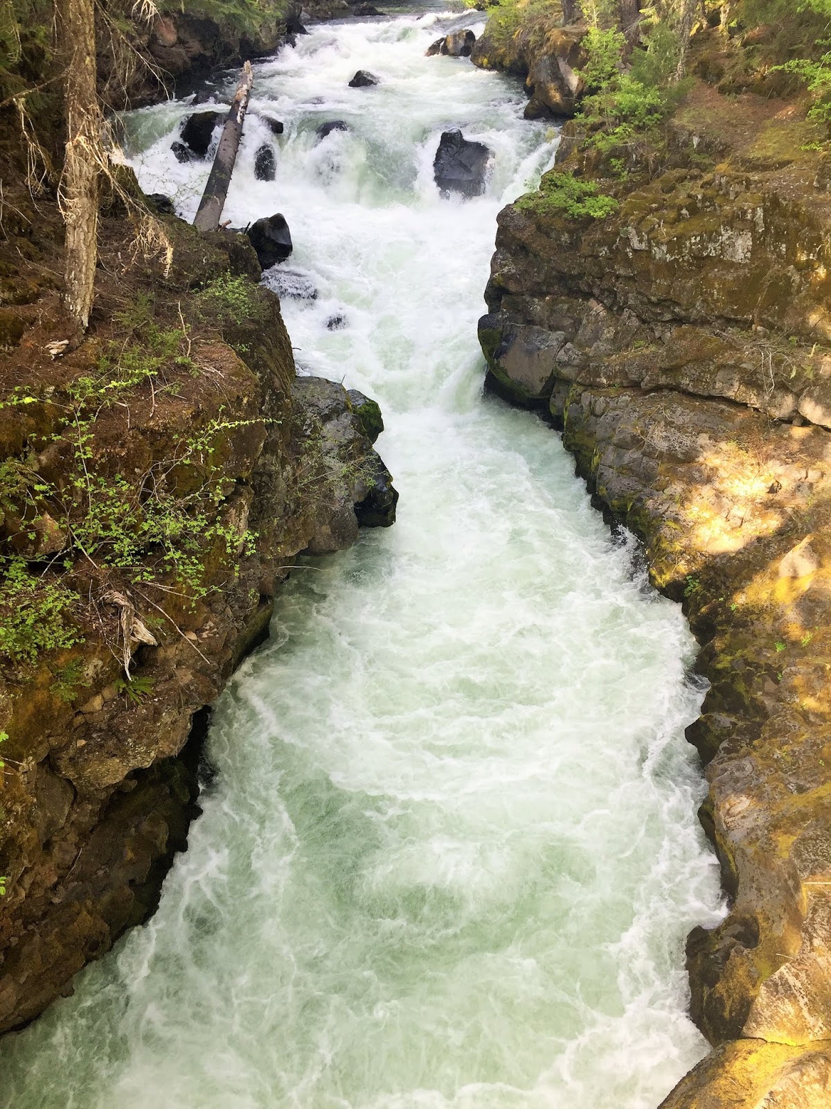 Down the Road: Rogue River and the Gorge Falls - Oregon