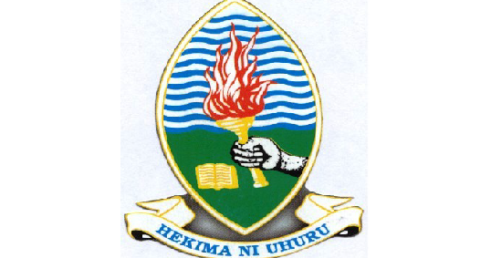 100 Jobs at The University of Dar es Salaam (UDSM) | NAFASI ZA KAZI ...