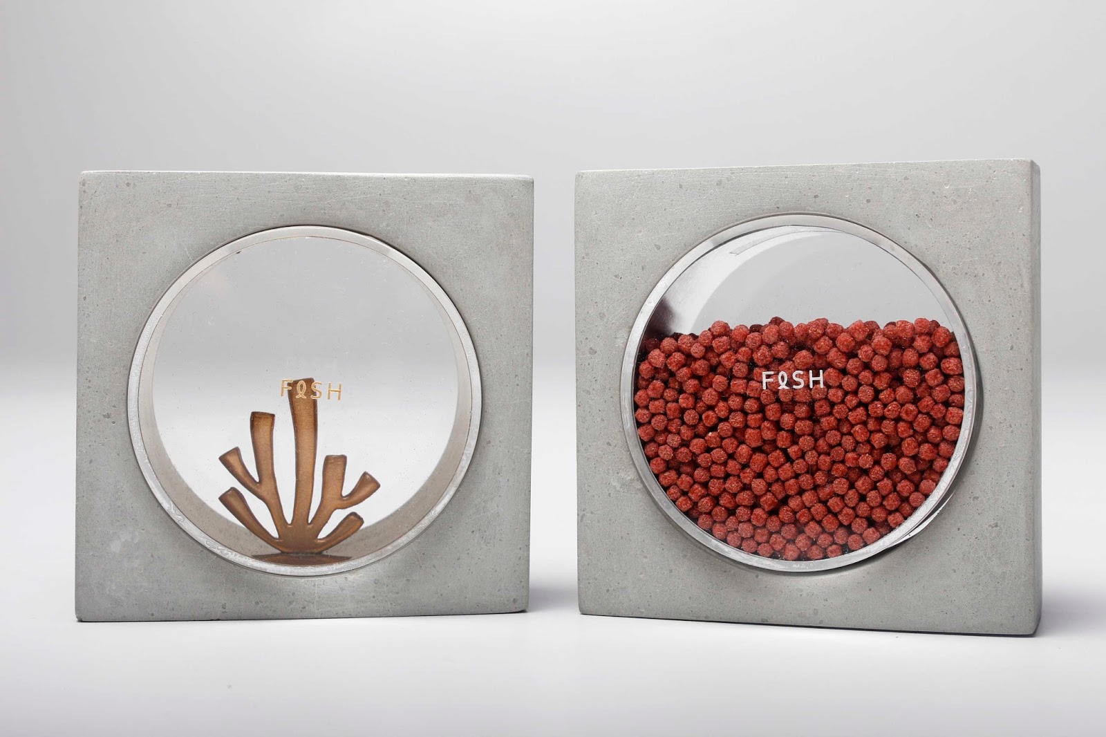 Fish – Packaging Of The World