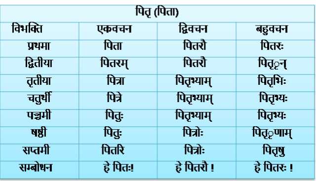 Pitri shabd roop in Sanskrit/पितृ /पिता के शब्द रूप