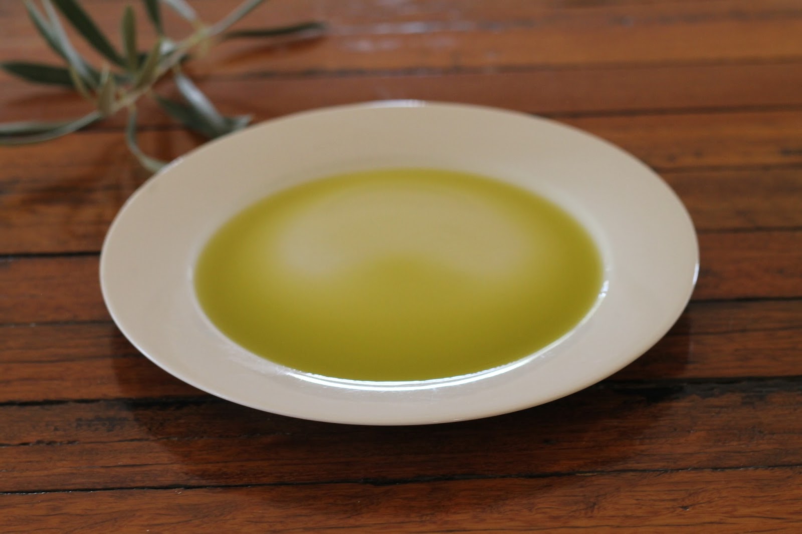 Olive harvest - The Shady Baker