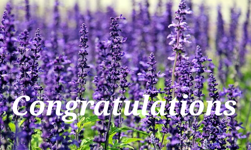 Top 10 Congratulations Images greating Pictures,Photos for Whatsapp ...