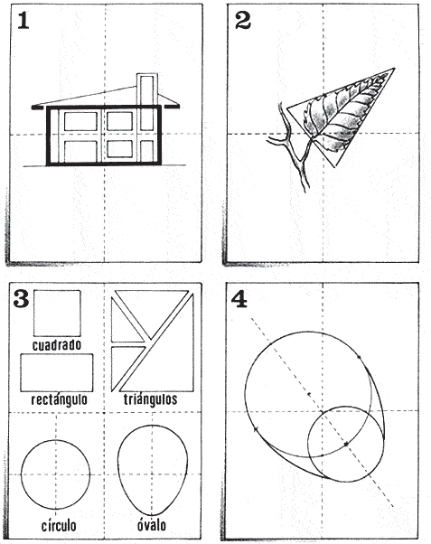 Técnicas de Dibujos para Principiantes