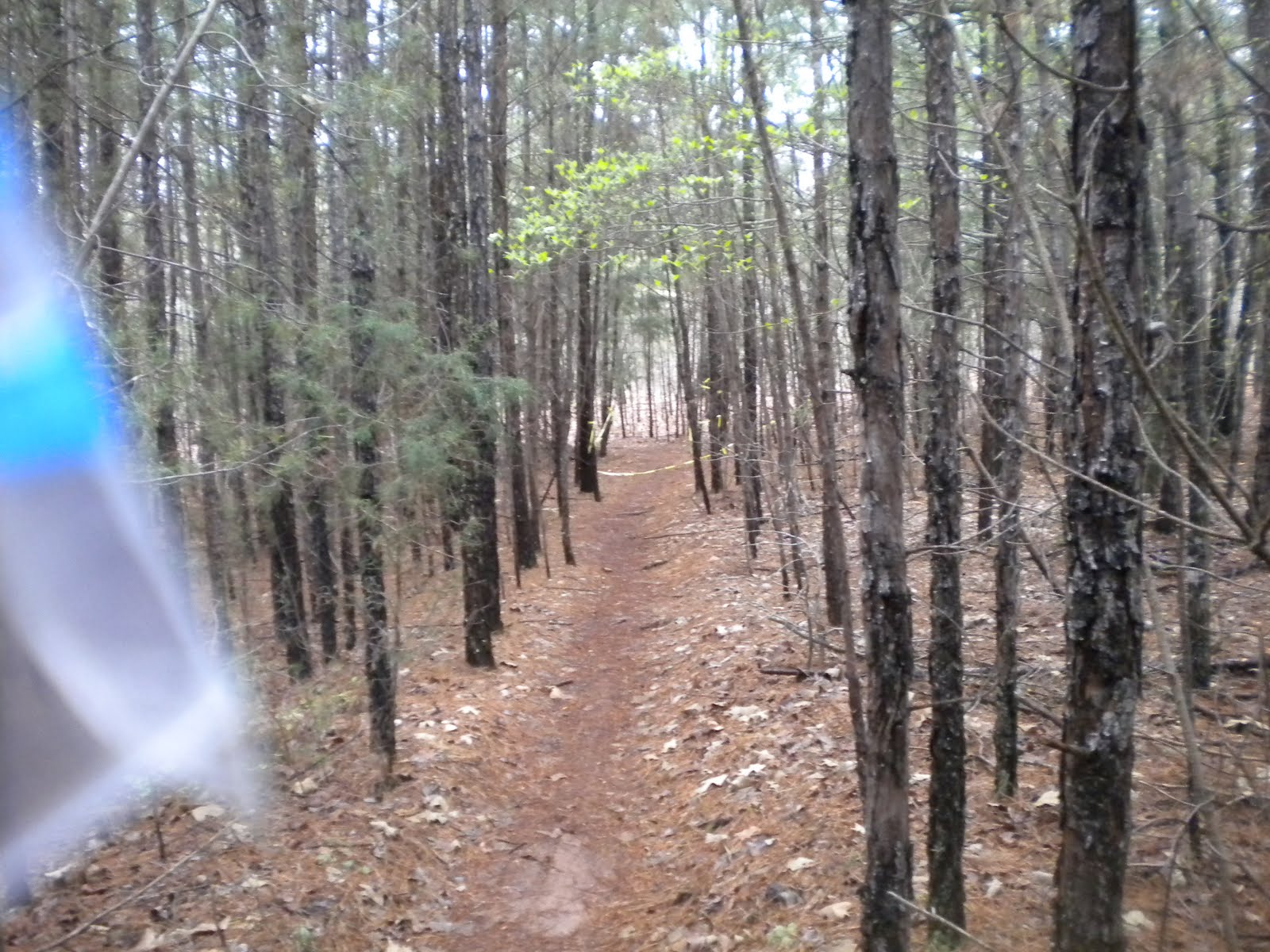 Kansas City Rasta Rider: Issaqueena Forest in pictures and captions.