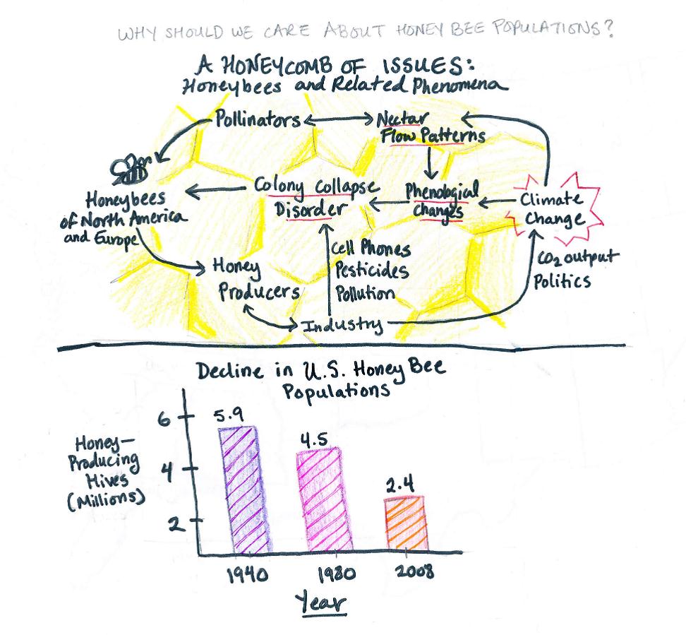 Climate Change and Honey Bees: What's all the Buzz about?