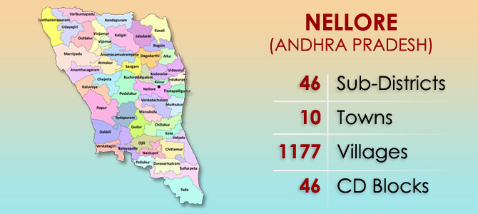 LATEST NEWS IN NELLORE ~ AP OVERVIEW