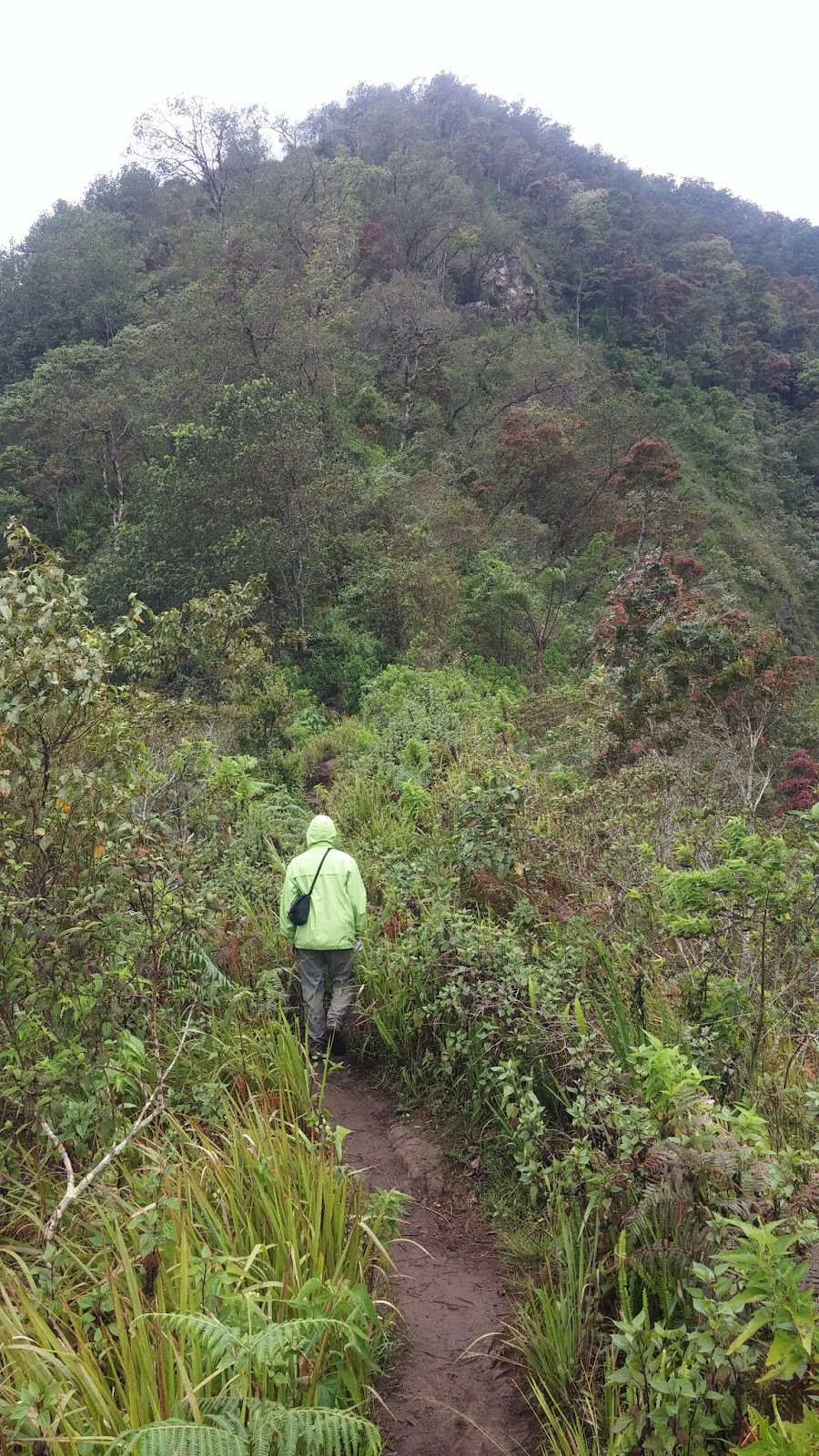 Puncak Mega Gunung Puntang 2222 Mdpl di Bandung Selatan