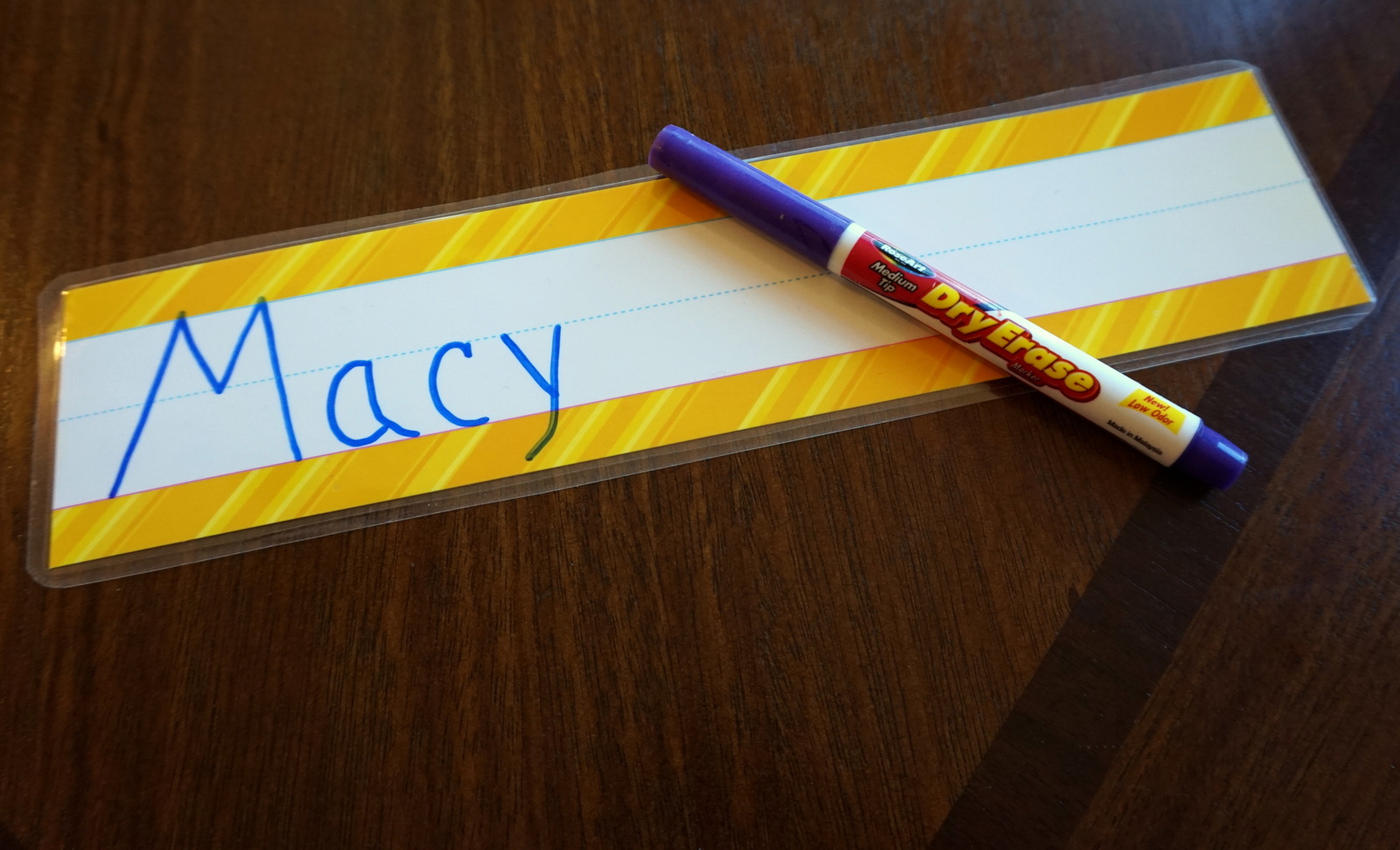 The Three Thrifty Sisters: My New Laminator + Dry Erase Markers = FUN!