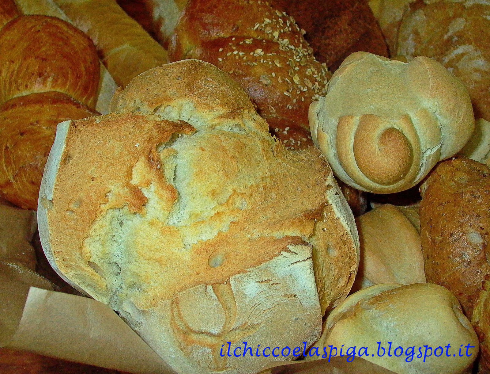 Il Chicco e la Spiga: Pane e dintorni, ovvero .......
