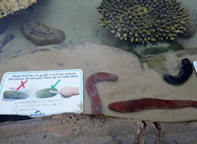 Stu @ the Zoo: Children’s Zoos / Petting Zoos