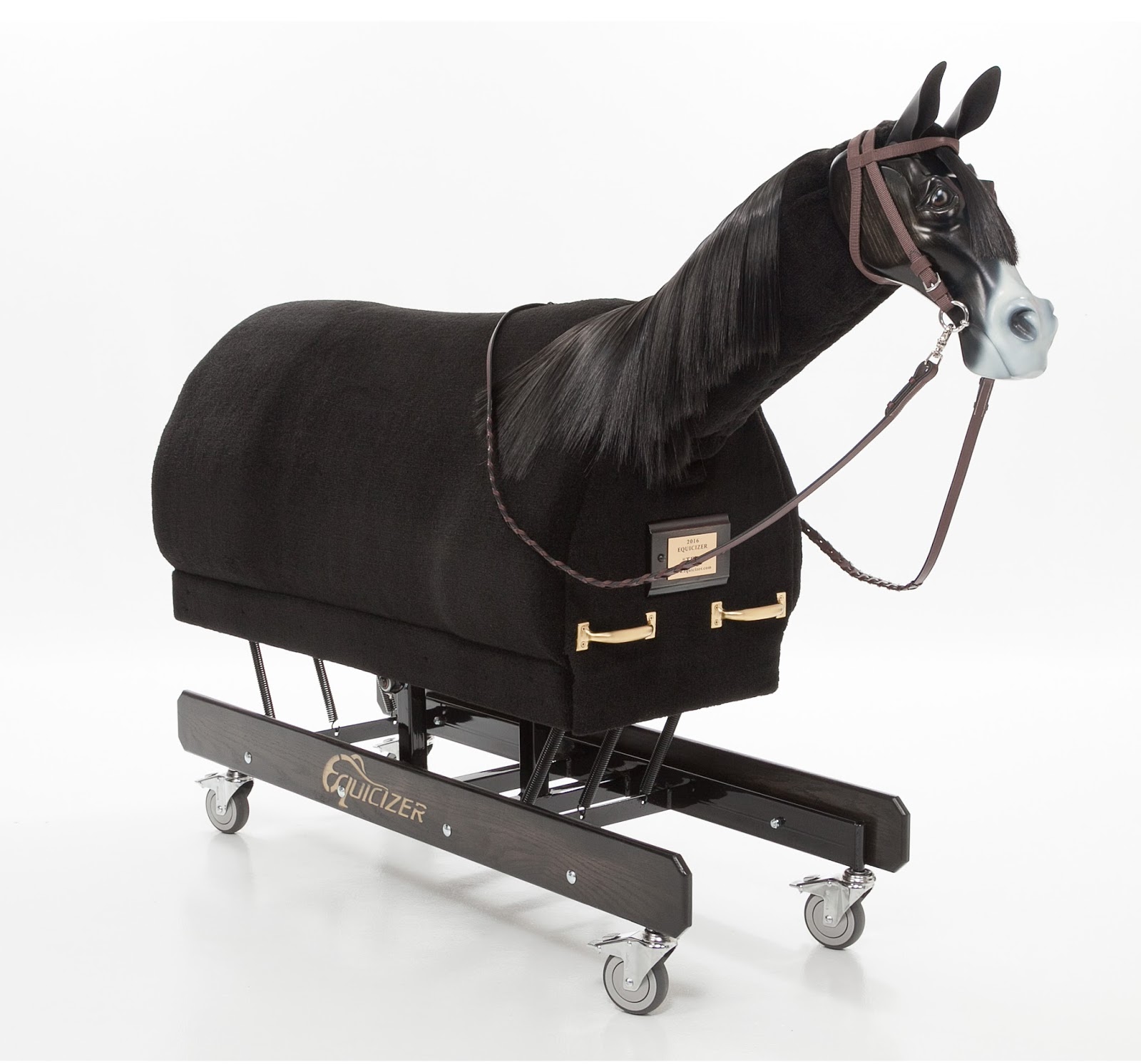 Equicizer horse simulator - graphicsver