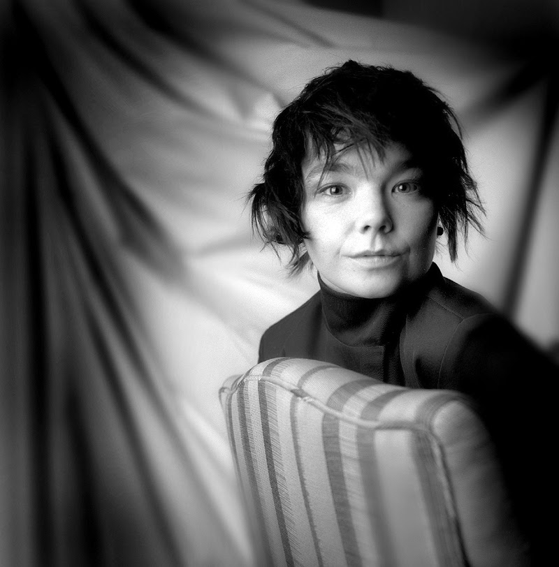 some old pictures I took: Bjork