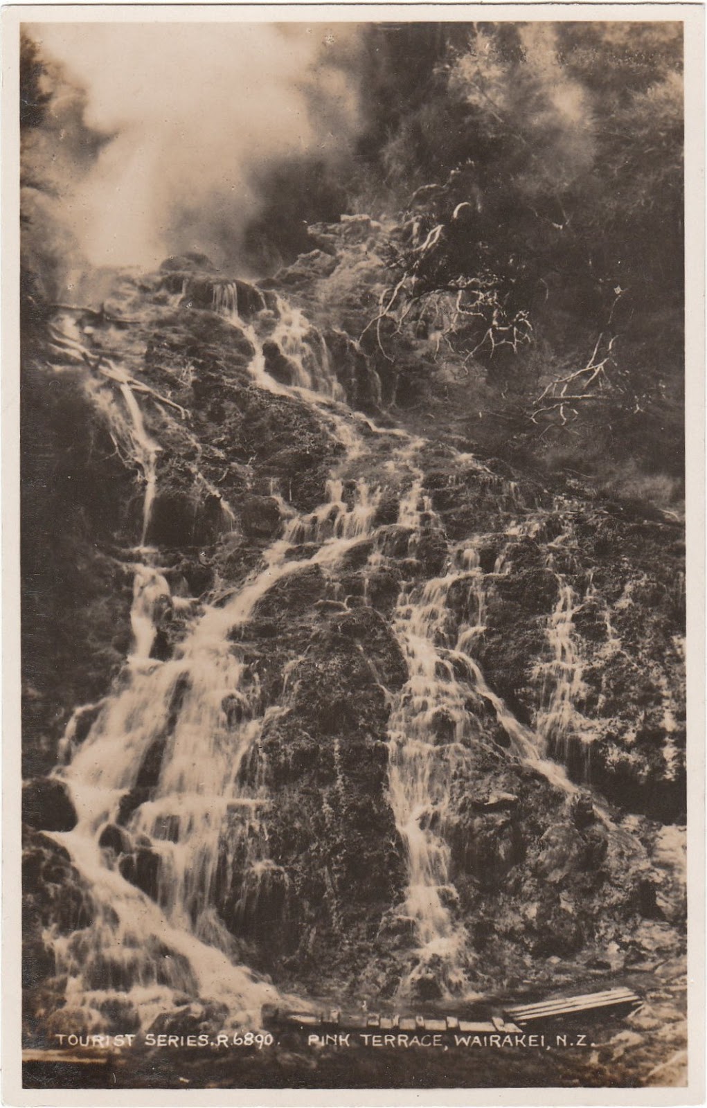 Early New Zealand Photographers: Frank Duncan and Co. Ltd.